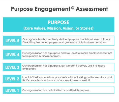 [Tools & Assessments]: Purpose Engagement© Assessment - Center for ...