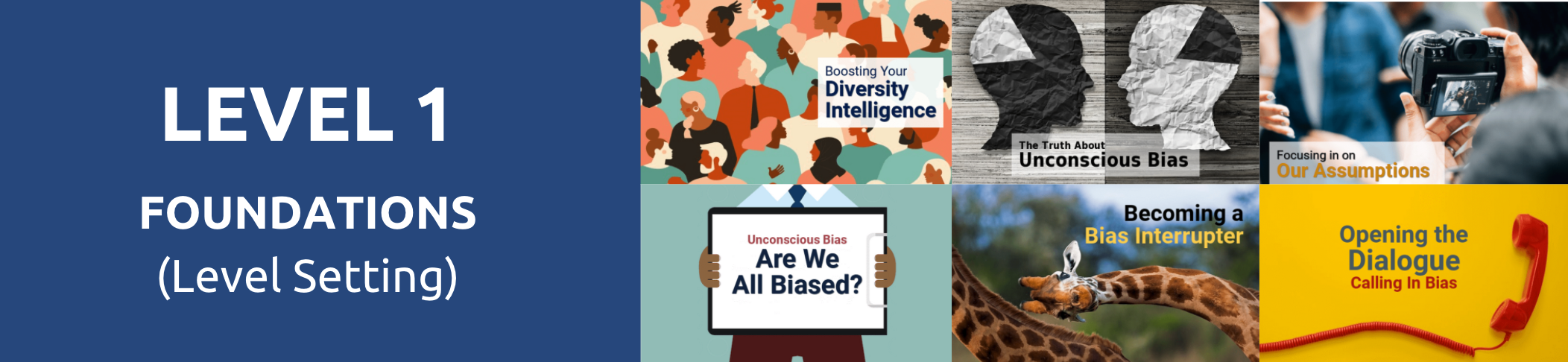 DEI Training - Center for Executive Excellence